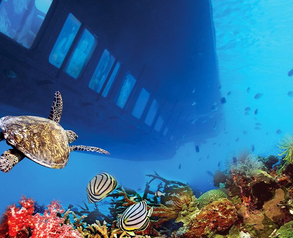 Sea Scope Submarain - Marouska Travel